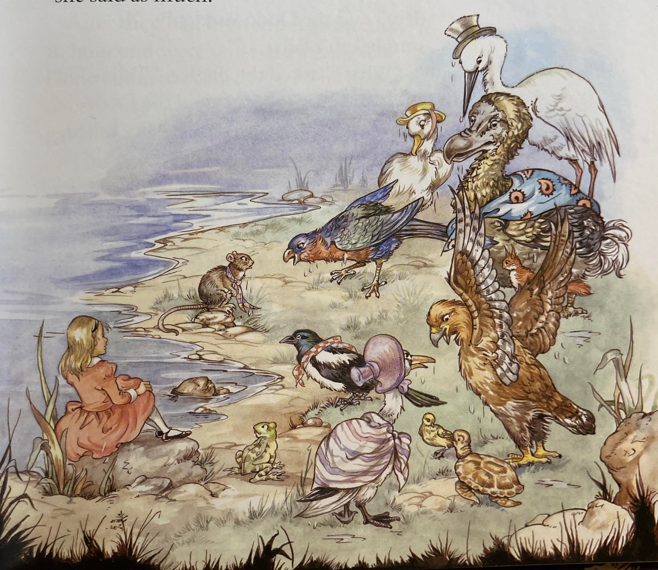 Alice in Wonderland – Books of Wonder