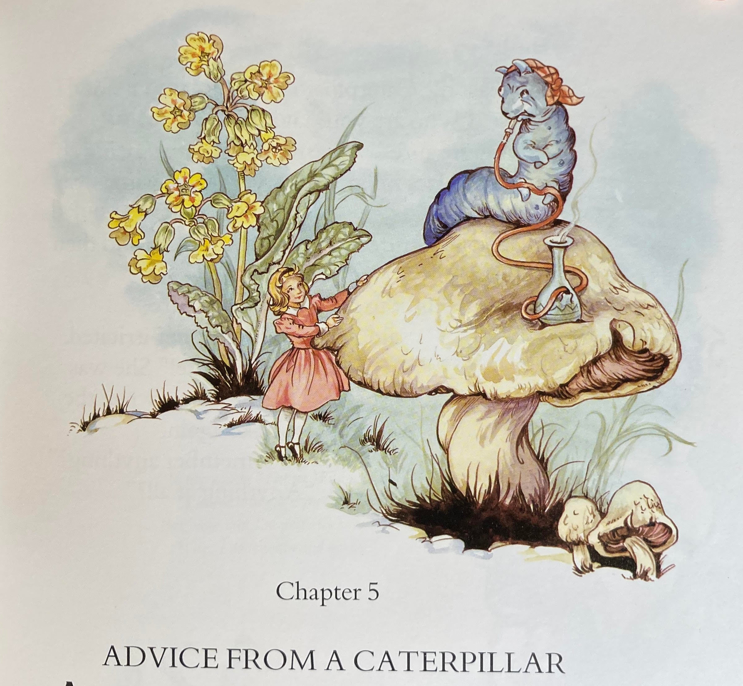 Alice in Wonderland – Books of Wonder