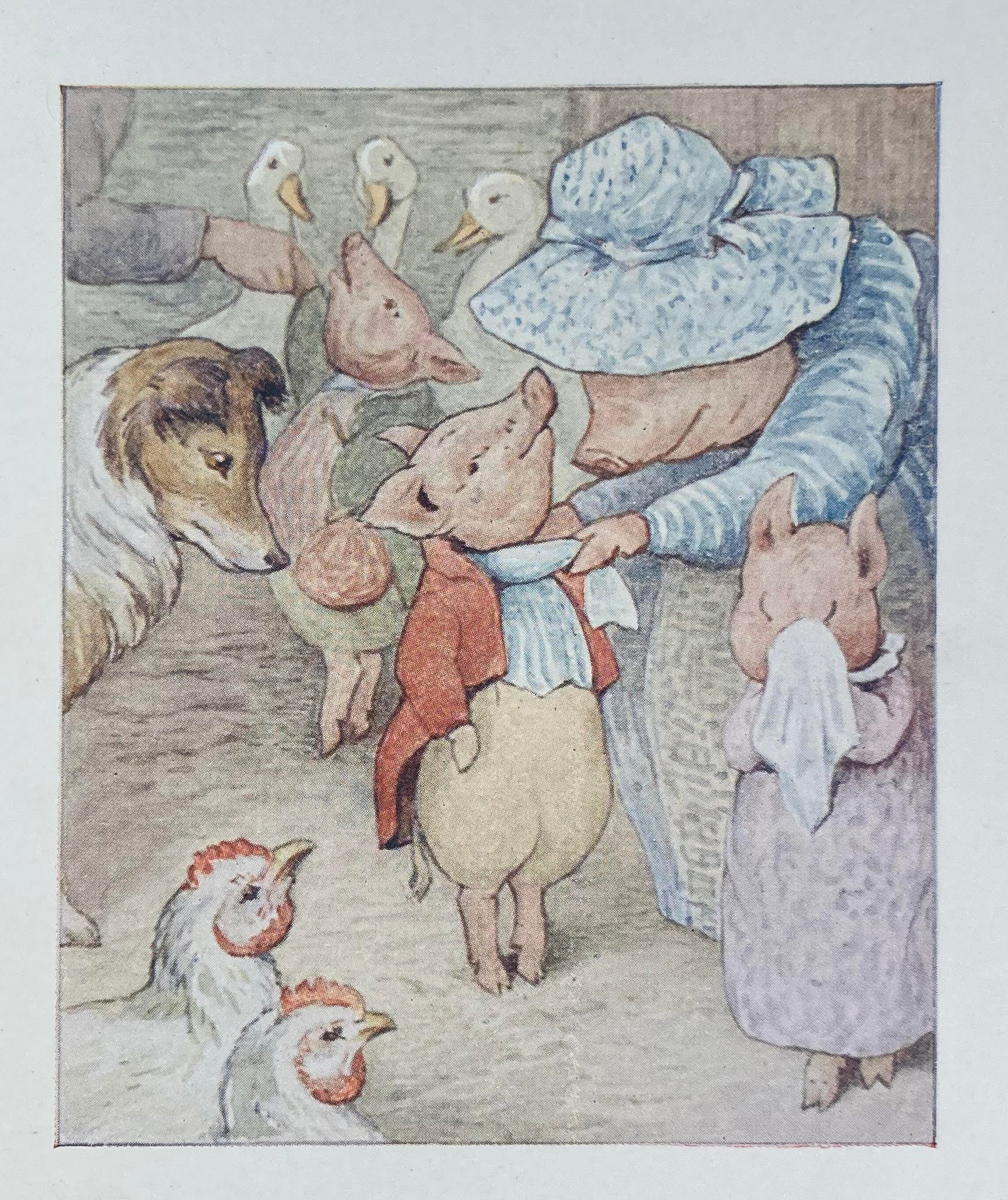 Tale of Pigling Bland – Books of Wonder