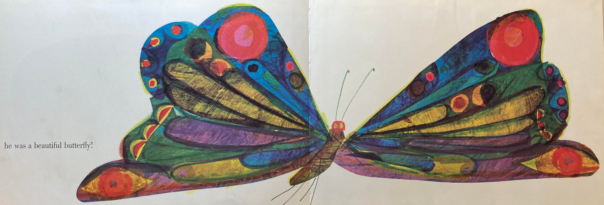 The Very Hungry Caterpillar Butterfly
