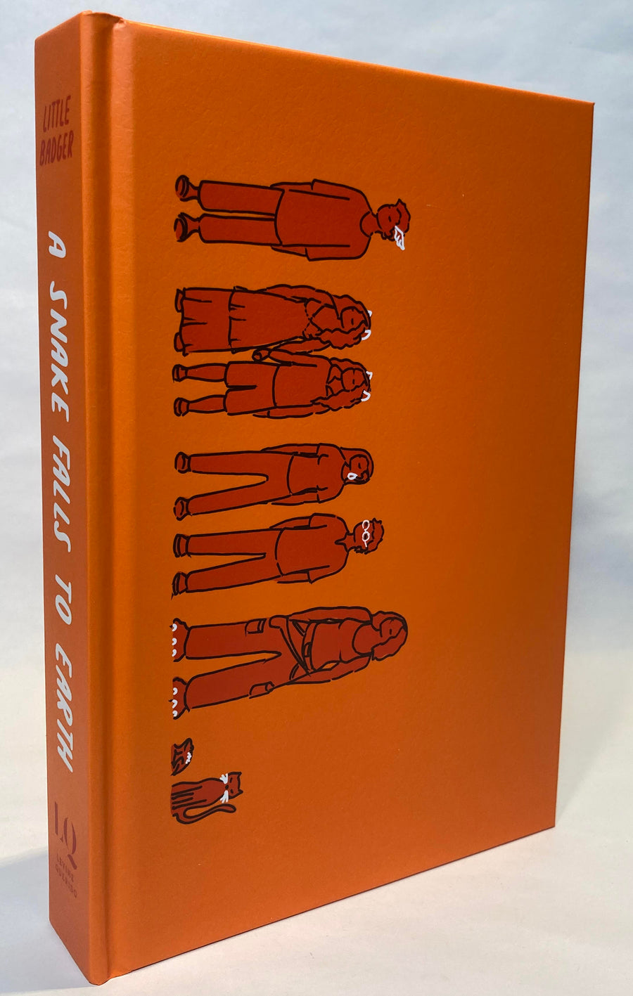 Snake Falls to Earth – Books of Wonder
