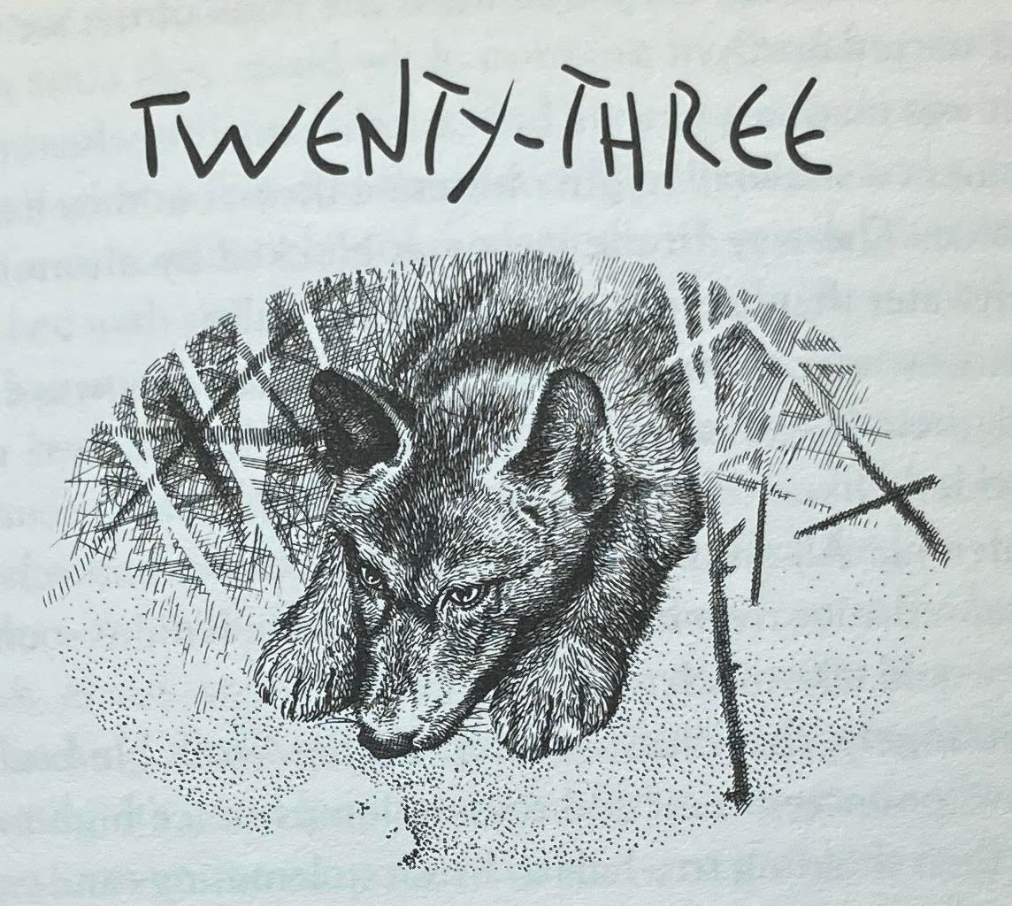 Wolf Brother – Books of Wonder